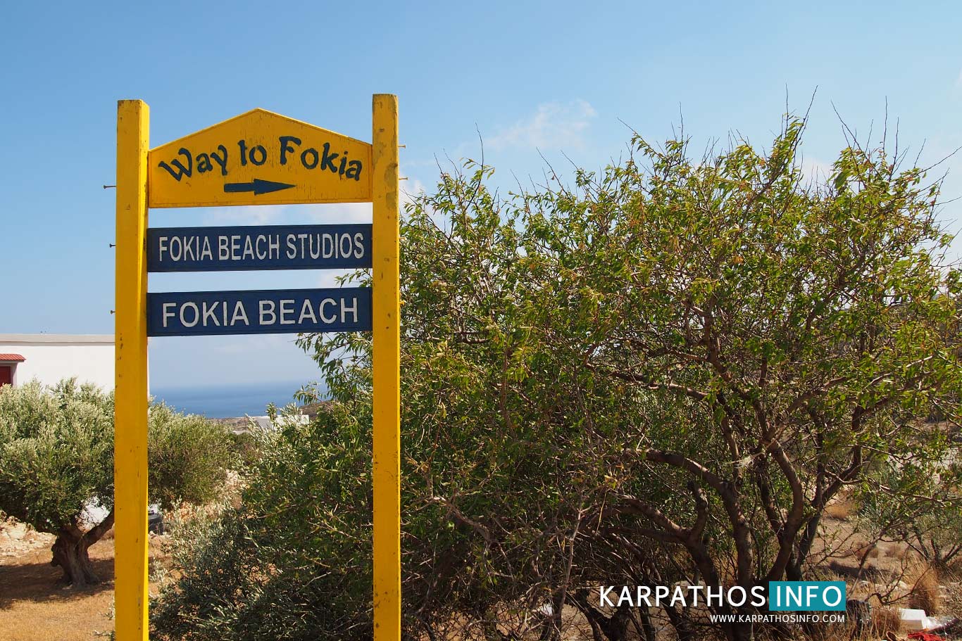 Fokia beach in Amoopi (Lakki) | Karpathos Travel Guide